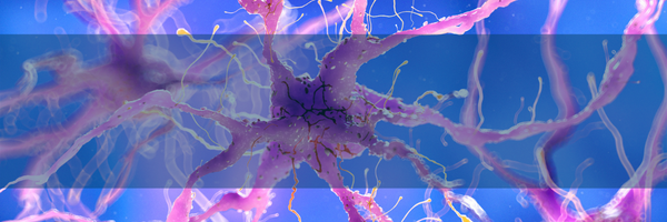 Memory Disorder/Memory and Aging Program | Butler Hospital